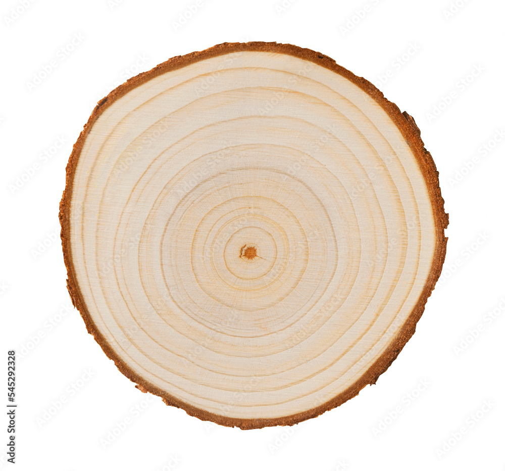 Eco Modern Tree Rings Art from Wood Cross Section Stock Photo | Adobe Stock