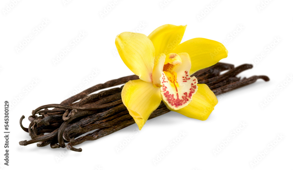 vanilla flowered Stock Photo | Adobe Stock