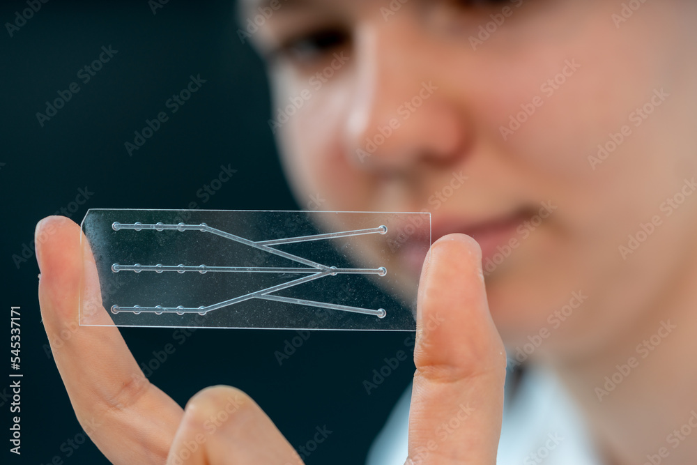 young female laboratory assistant holds a blank for a Lab ON Chip LOC ...
