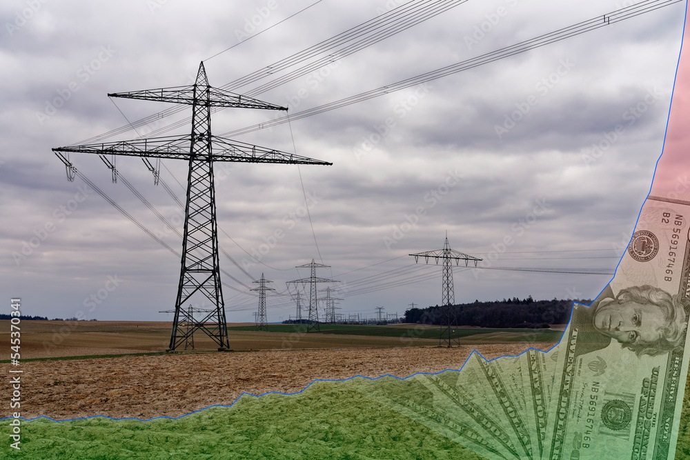Expensive energy, many power poles in a field at the edge of the forest ...