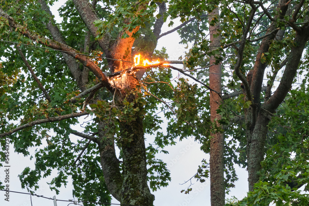 live electrical wire fire at tree branch following the passage of ...