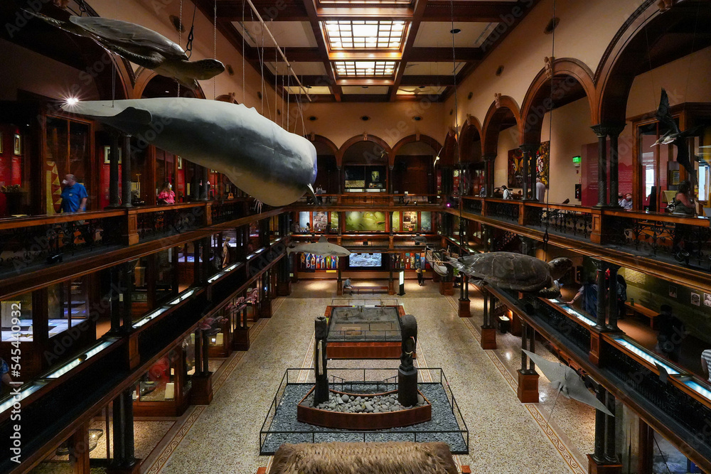 Interior of the Hawaiian Hall of the Bishop Museum, the largest museum ...
