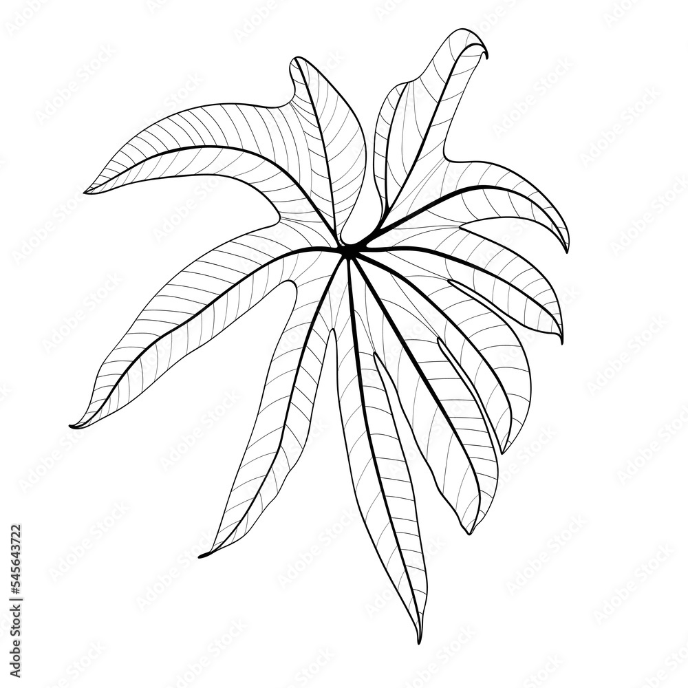 Exotic line leaf sketch by hand drawing. Leaf art highly detailed in ...