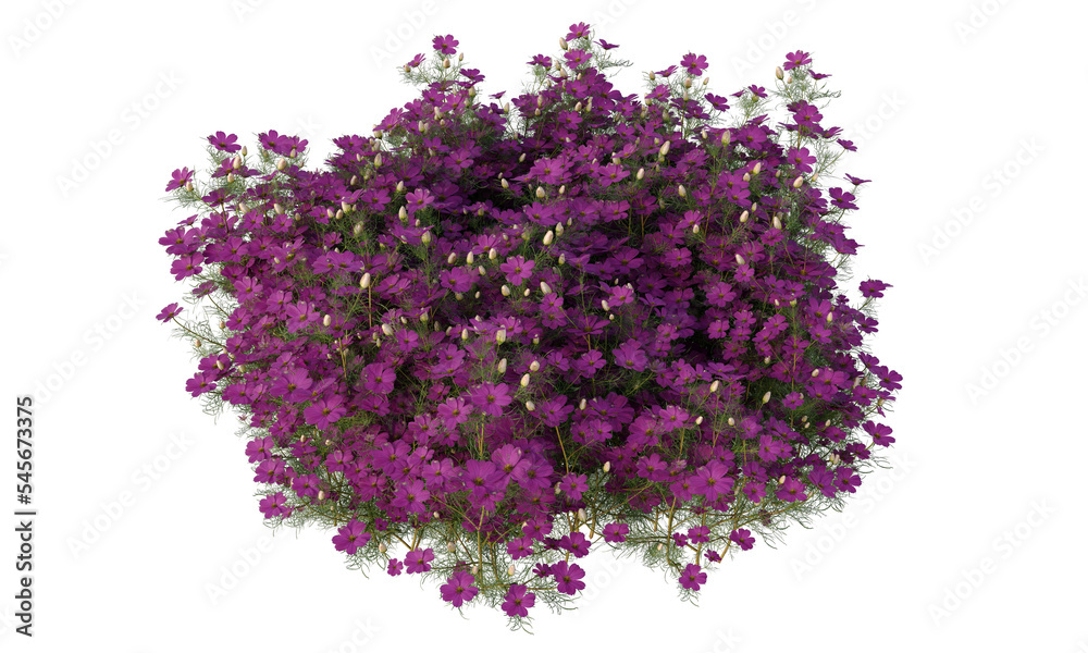 various types of bush flower and hedges arrangements Stock Illustration ...