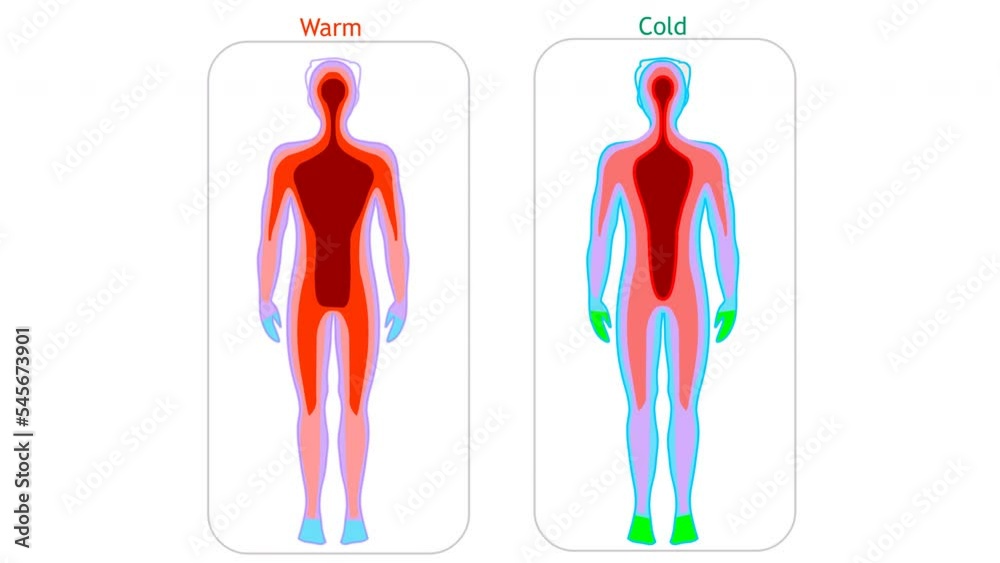 Cartoon Body Temperature