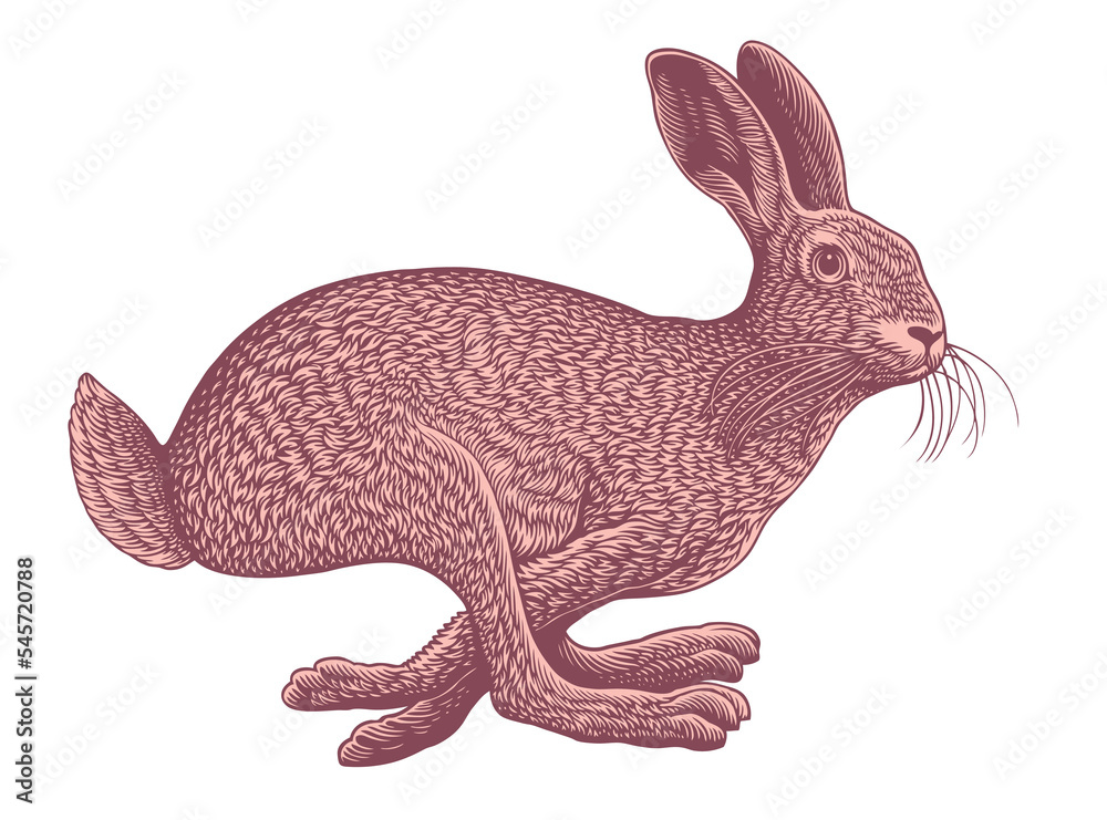 Running hare. Symbol of 2023. Editable hand drawn illustration. Vector ...