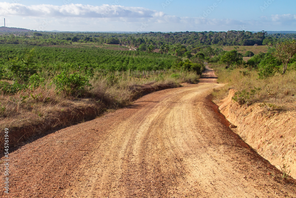 Sand road in the countryside of bahia, city of Conde, Brazilian coast ...