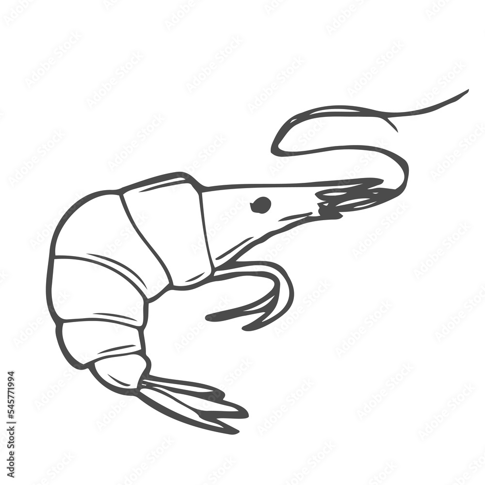 Shrimp hand drawn outline doodle icon. Vector sketch illustration of ...