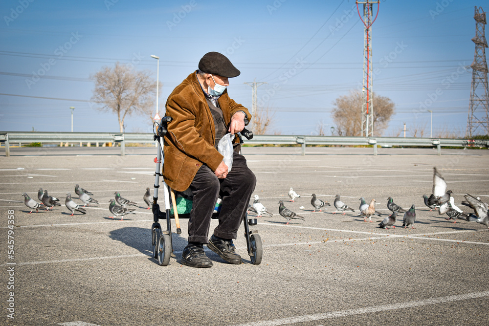 Anciano hombre mayor con su andador, alimentando a las palomas echando ...