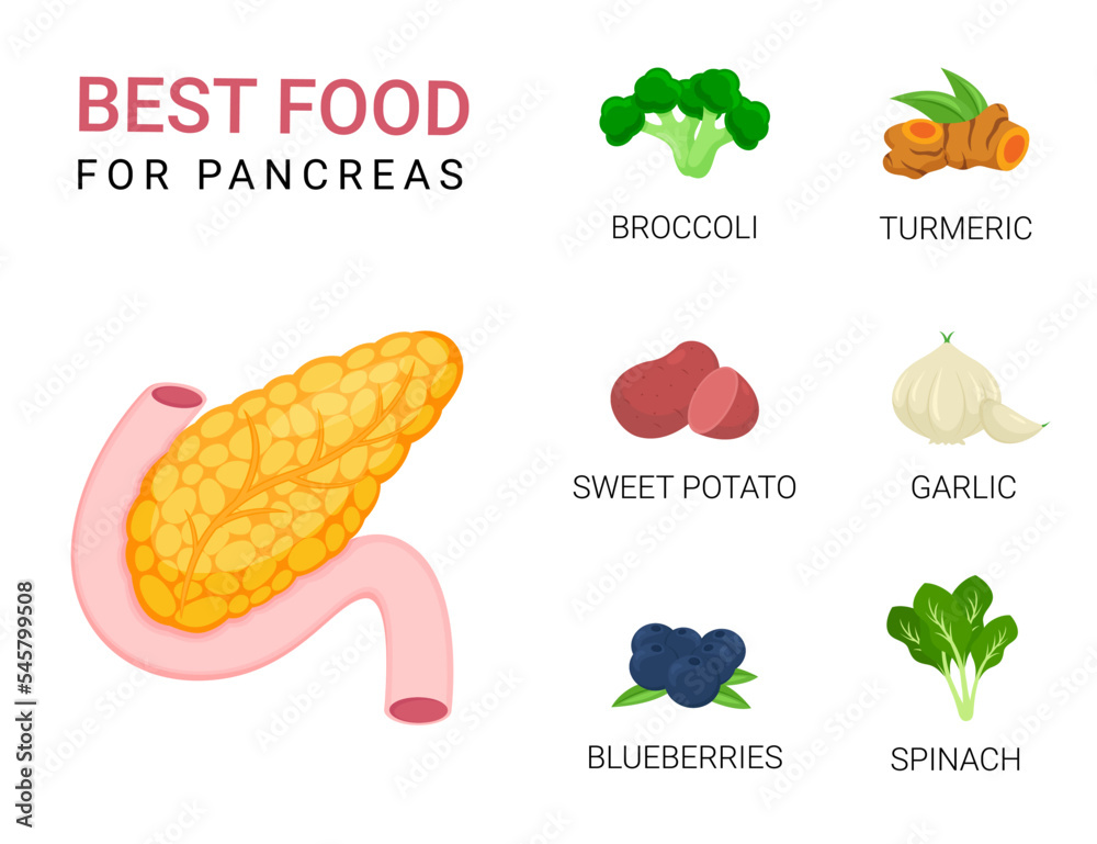 Best food for health pancreas nutrition, health food illustration ...