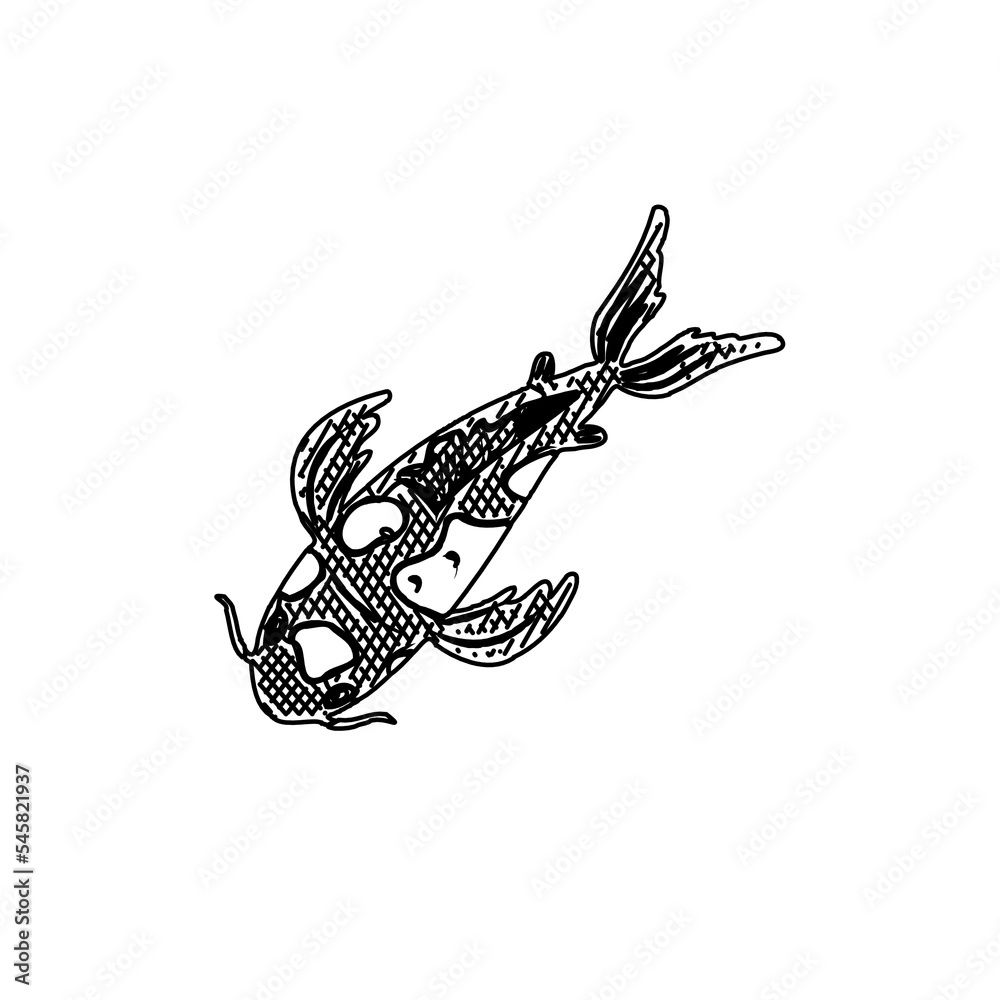 Koi fish black and white sketch design with a transparent background ...