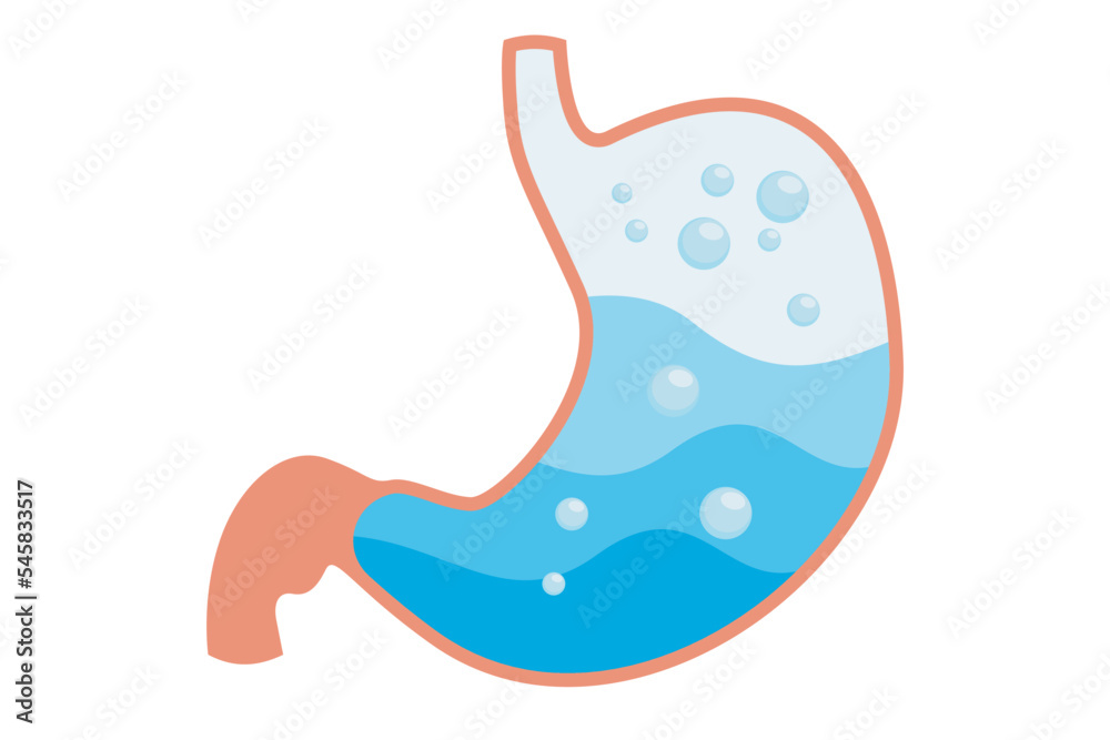 Human stomach vector. Gastric fluid. Illustration of the human ...