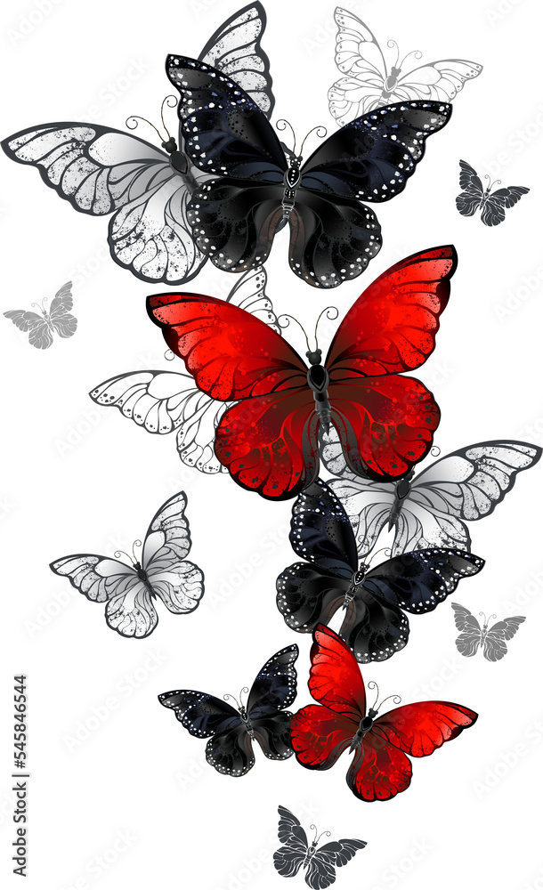 Flying Black and Red Morpho Stock Illustration | Adobe Stock