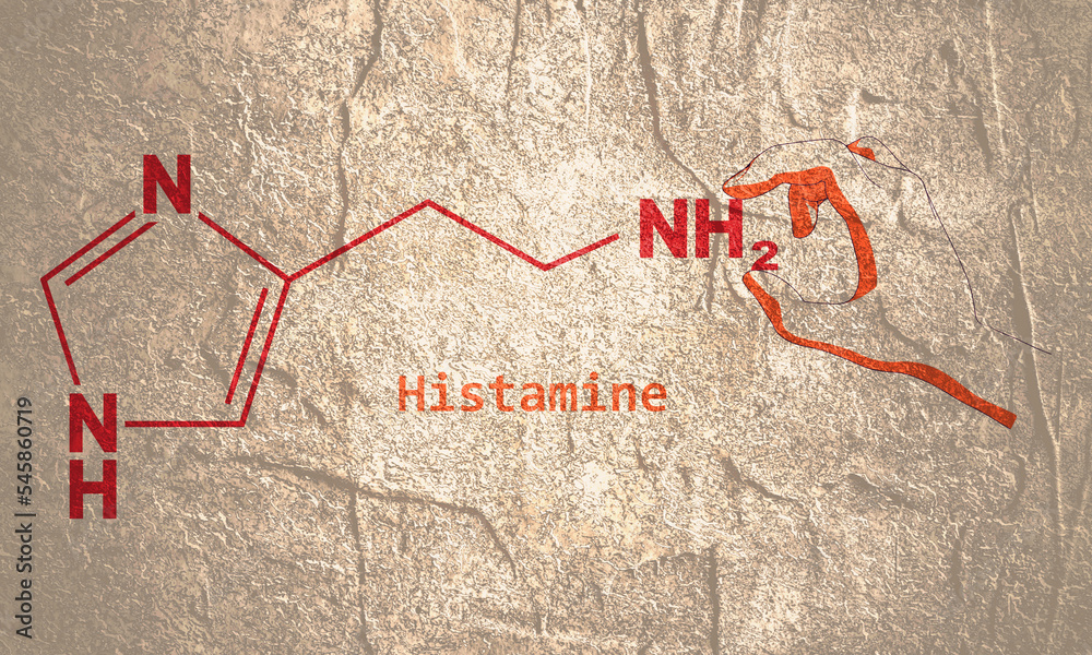 Hand holding chemical molecular formula of histamine. Stock ...