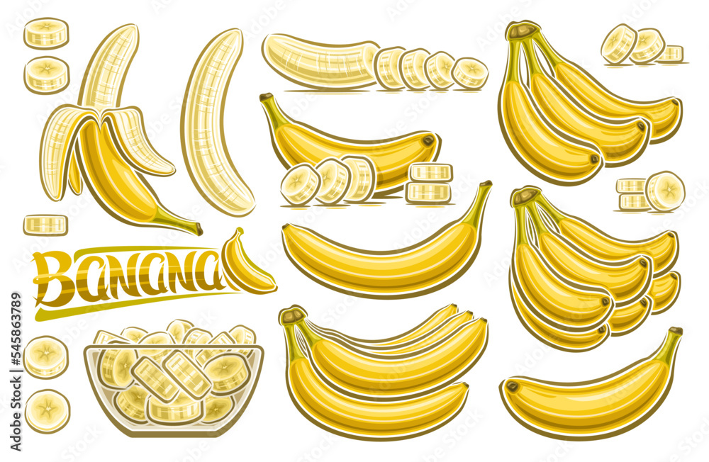 Vector Banana Set, horizontal poster with lot collection of cut out ...