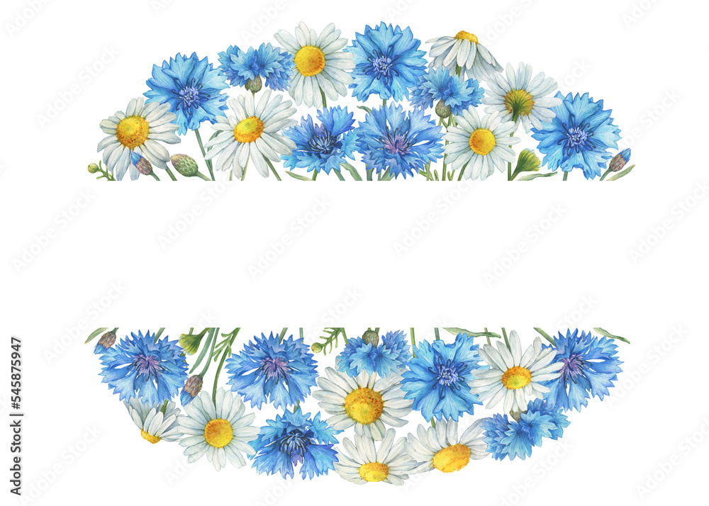 Postcard, template, frame with blue cornflower flower (knapweed or ...