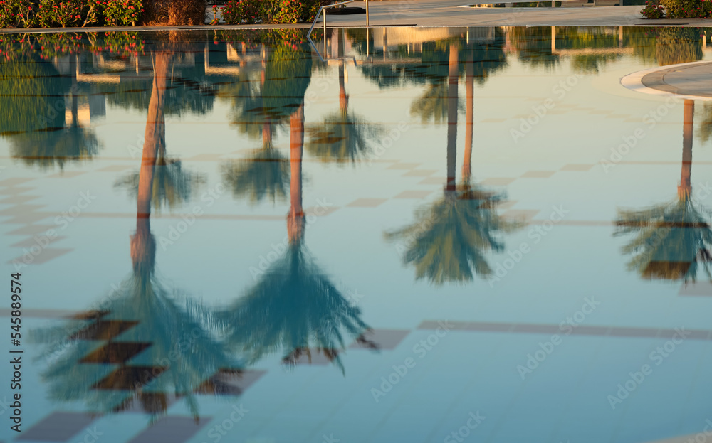 Palm trees reflection in the swimming pool during sunrise. landscape ...