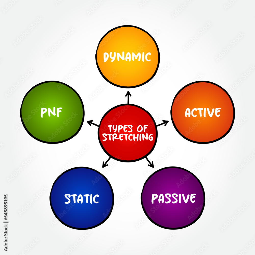 Types of Stretching (form of physical exercise in which a specific ...