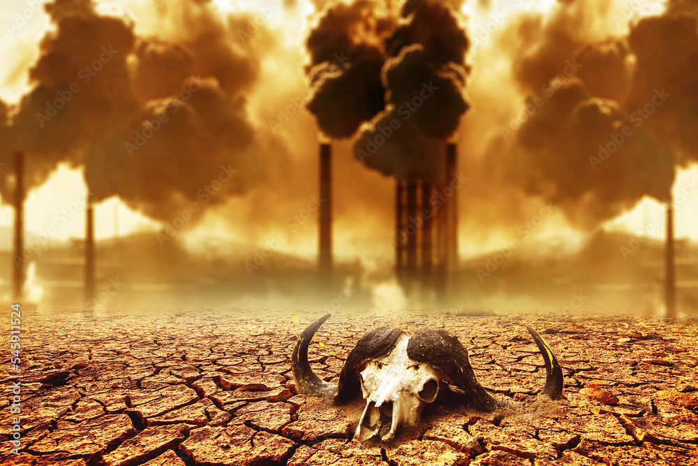 Factory Pollution Effects