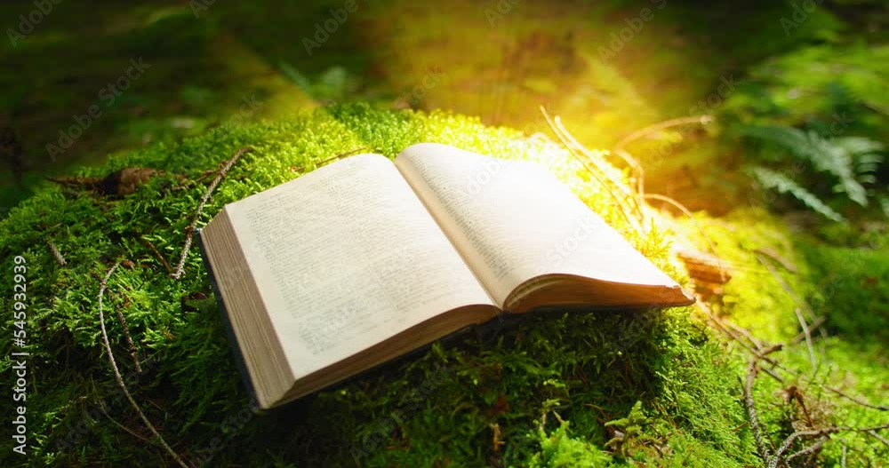 Open book with light flare. Mysterious printed book with a magical ...