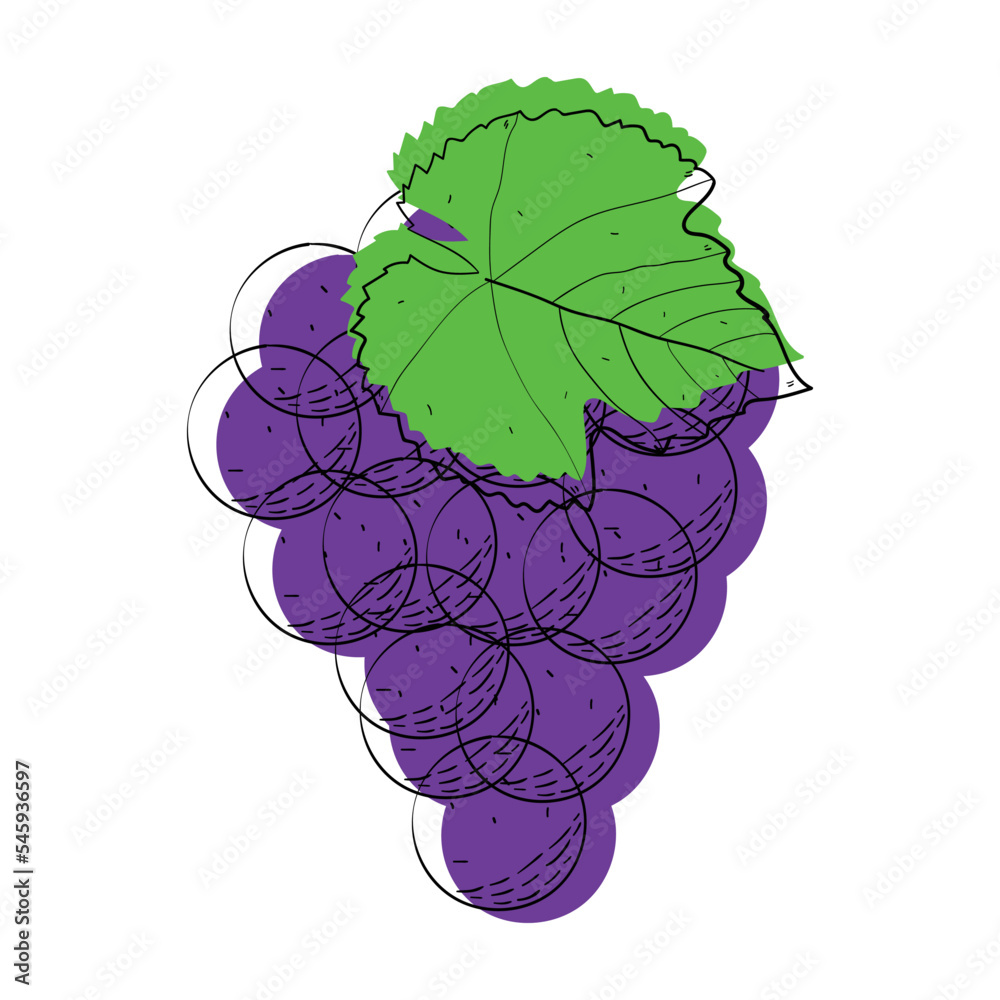 Grape fruit. Abstract modern of grape icon, whole and sliced. For web ...