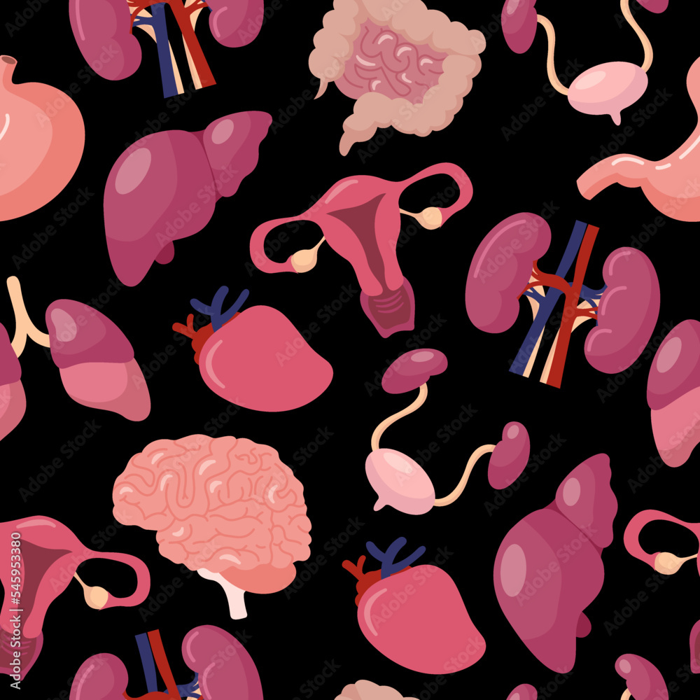 Human internal organs seamless pattern. Stomach, kidney, brain, lungs, heart, liver, uterus ...