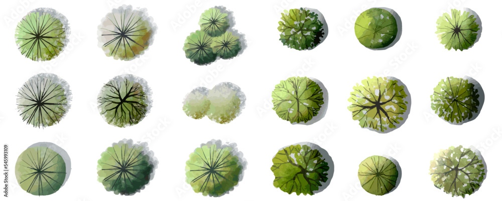 Vector set of tropical green tree top view isolated on white background ...