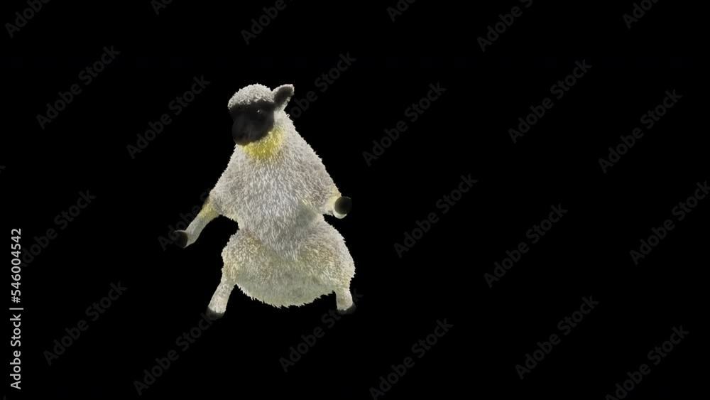 Sheep Dancing, Animal, 3d rendering, Animation Loop, cartoon, included ...