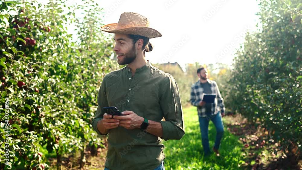 Handsome young Caucasian man farmer in hat standing in garden of apples ...