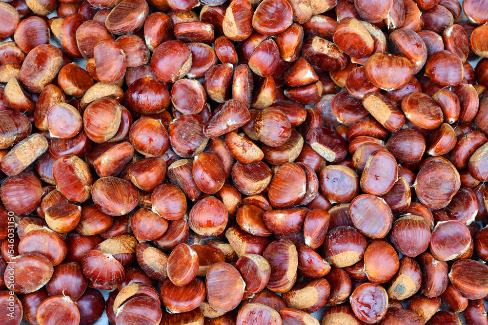 The chestnuts are the deciduous trees and shrubs in the genus Castanea ...