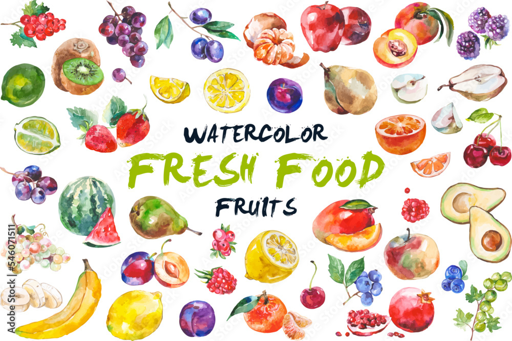 Watercolor painted collection of fruits. Hand drawn fresh food design ...