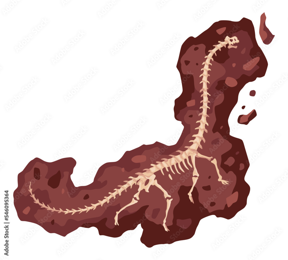 Dinosaur skeleton bone, fossil excavation of archeology isolated ...