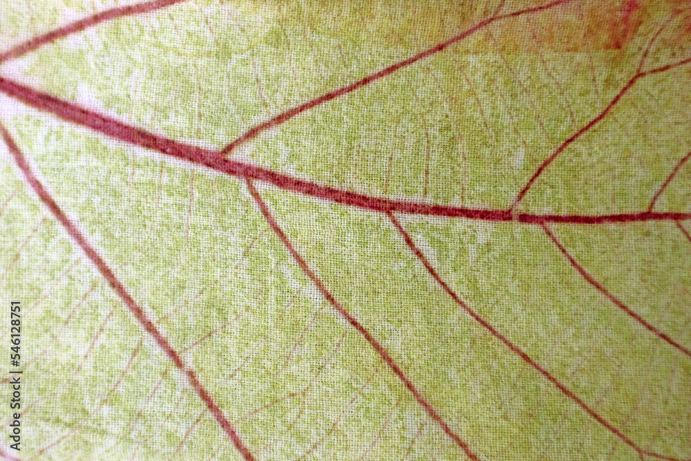 Texture and pattern of natural yellow leaf from eco print process. Eco ...