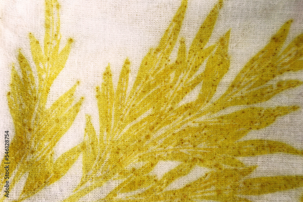 Texture and pattern of natural yellow leaf from eco print process. Eco ...