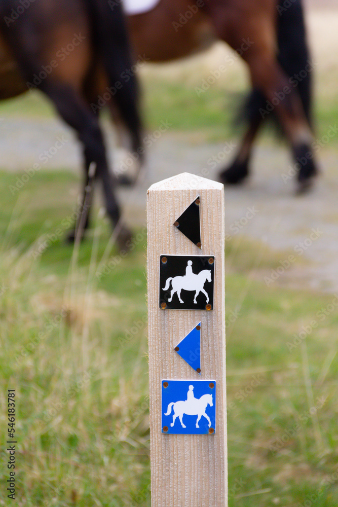Wooden bridleway sign with arrows and horse symbols in rural Wales with ...