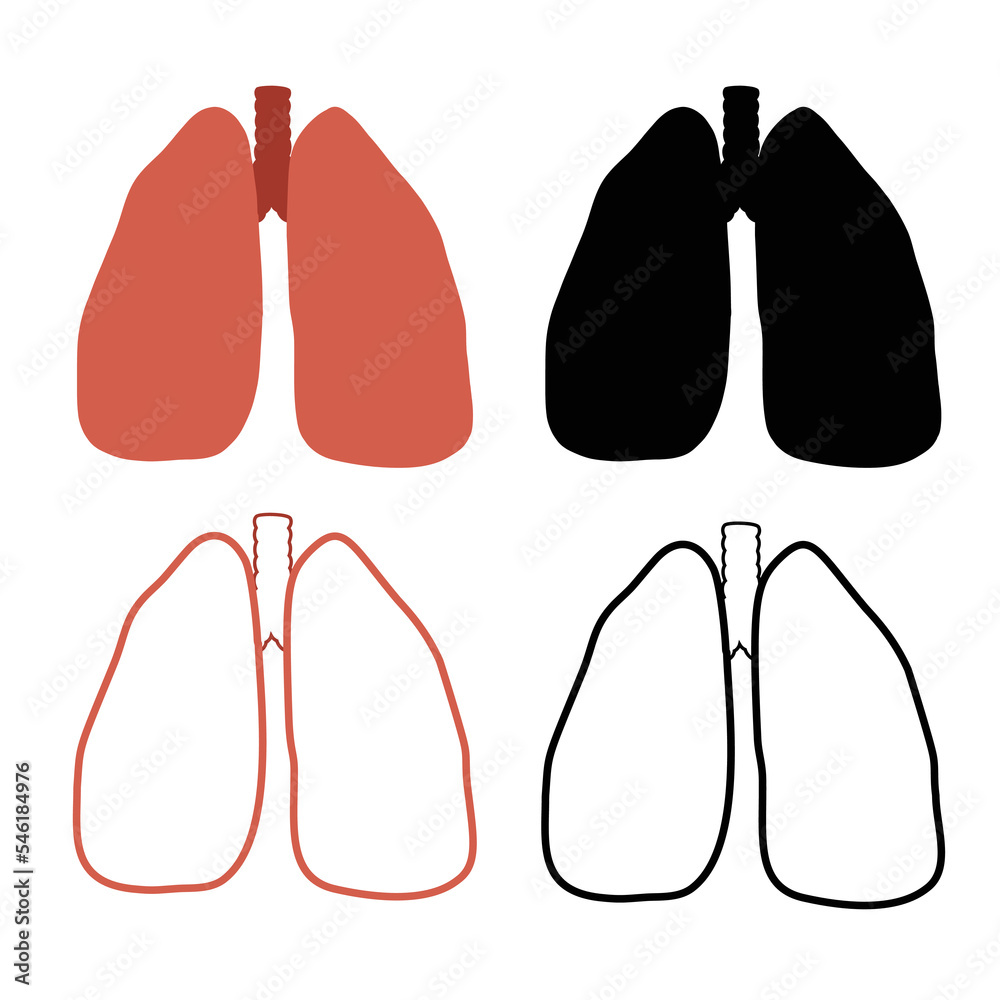 Vector set of simple human lungs isolated from background. Collection ...
