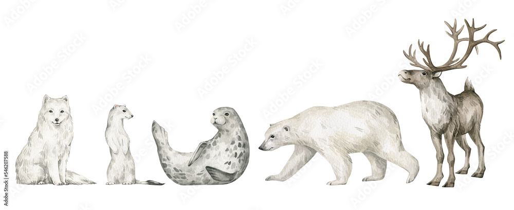 Watercolor set with wild Arctic animals. Reindeer, polar bear, arctic ...