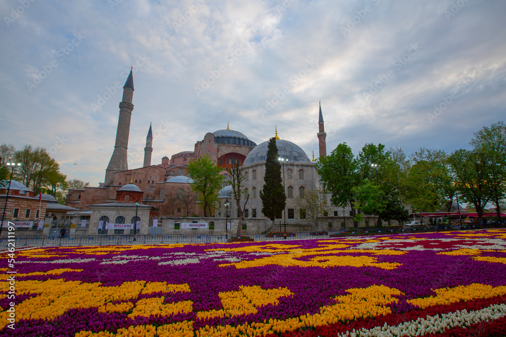 Tulip Festival in Sultahahmet Square. Tulips and Blue Mosque in ...