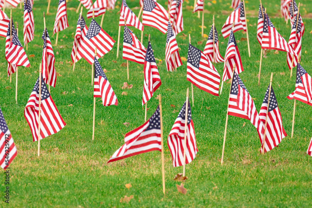 american flags in ground celebrating or honoring veterans that served ...