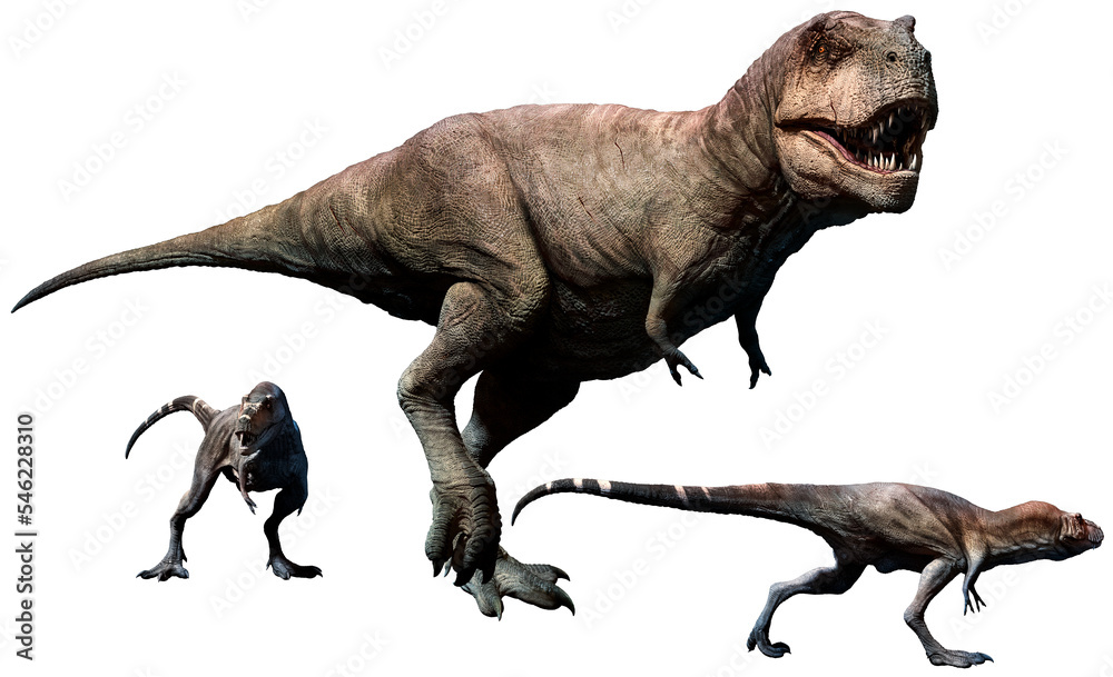 Tyrannosaurus rex female with young 3D illustration Stock Illustration ...