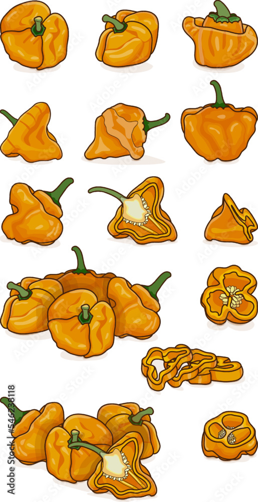 Set with whole, half, quarter, slices, and wedges of yellow scotch ...