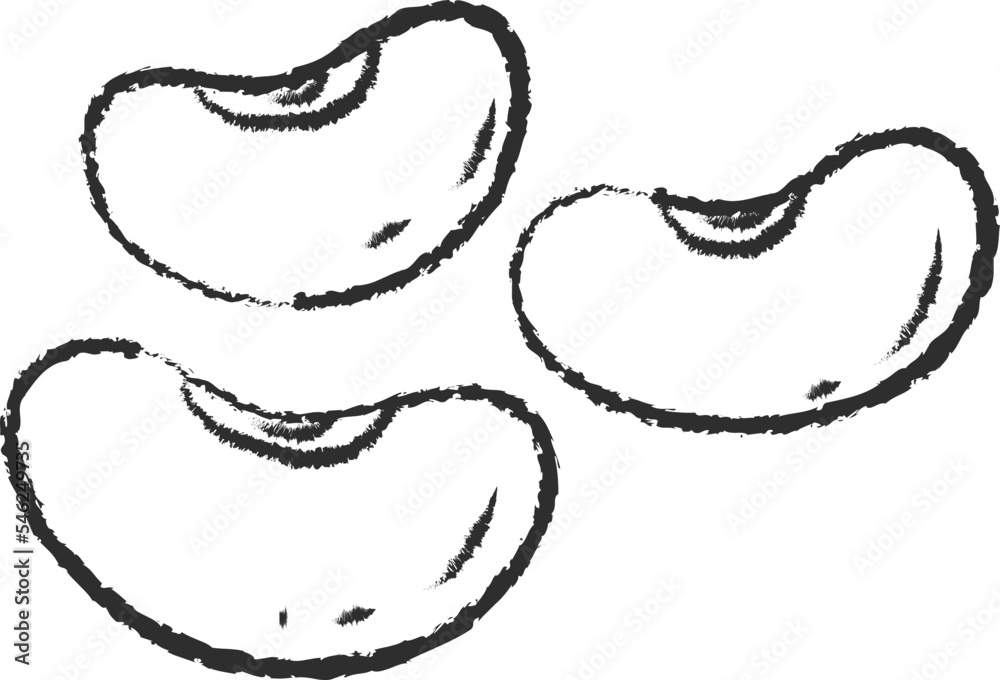 Chalked sketch kidney bean vegetable icon vector illustration. White ...