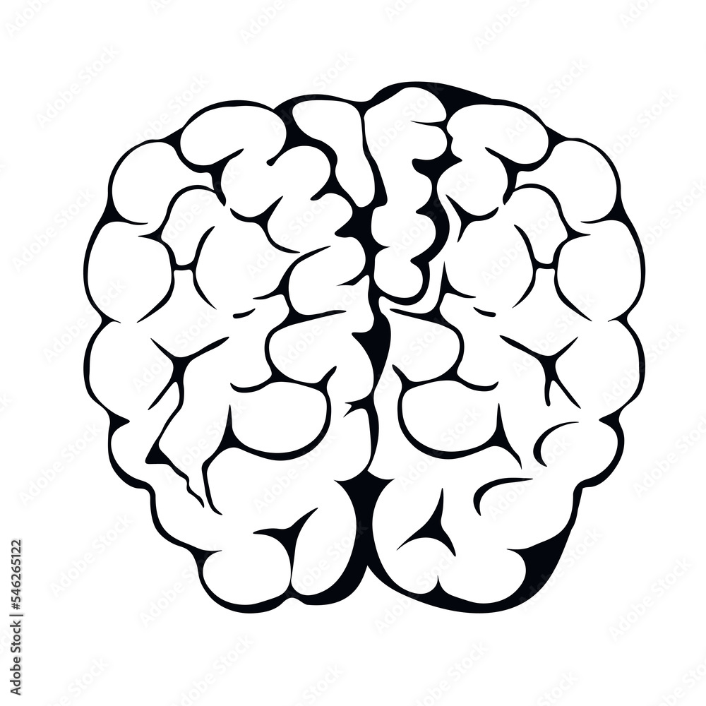 Human brain vector stock illustration. Organ of nervous system ...