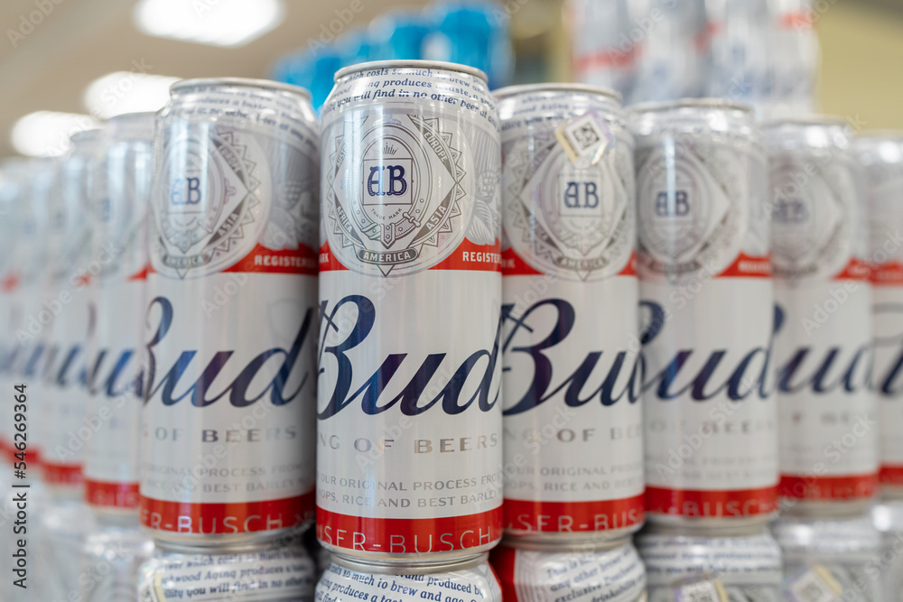 BUDWEISER BEER BUD alcoholic canned beer on the shelf in supermarket ...