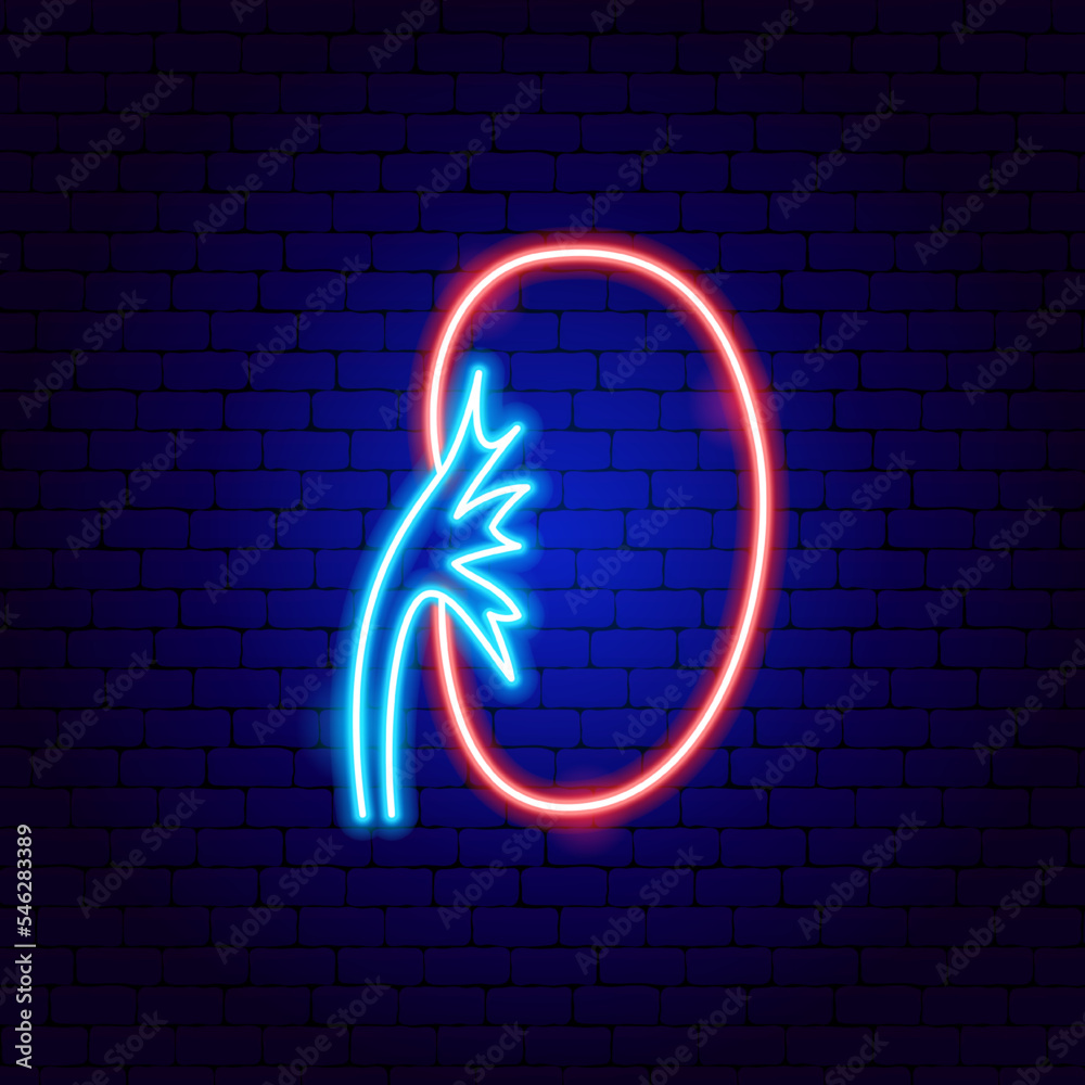 Kidney Neon Sign. Vector Illustration of Medical Human Health Objects ...