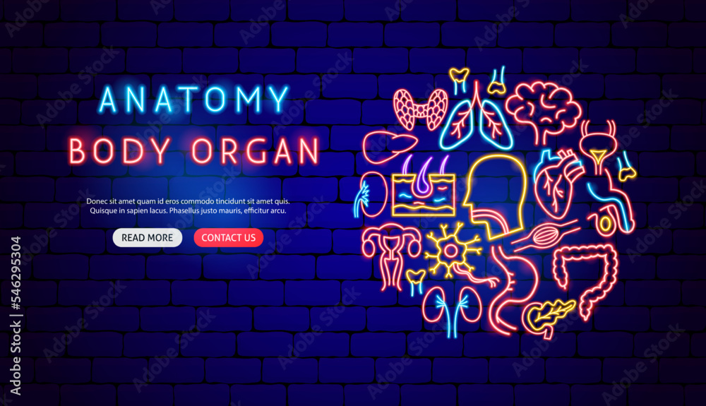 Anatomy Neon Banner Design. Vector Illustration of Medical Science ...