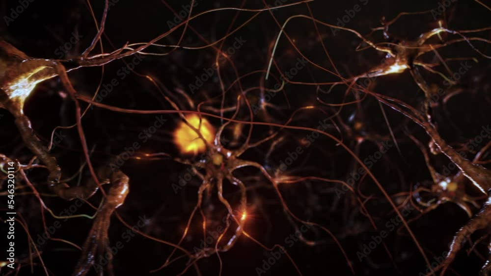 3D Animation of Neurons and Neural Connections. Nerve Cell Activity in ...