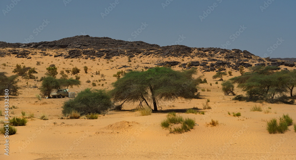 West Africa. Mauritania. Panorama of endless sand dunes of the Sahara ...