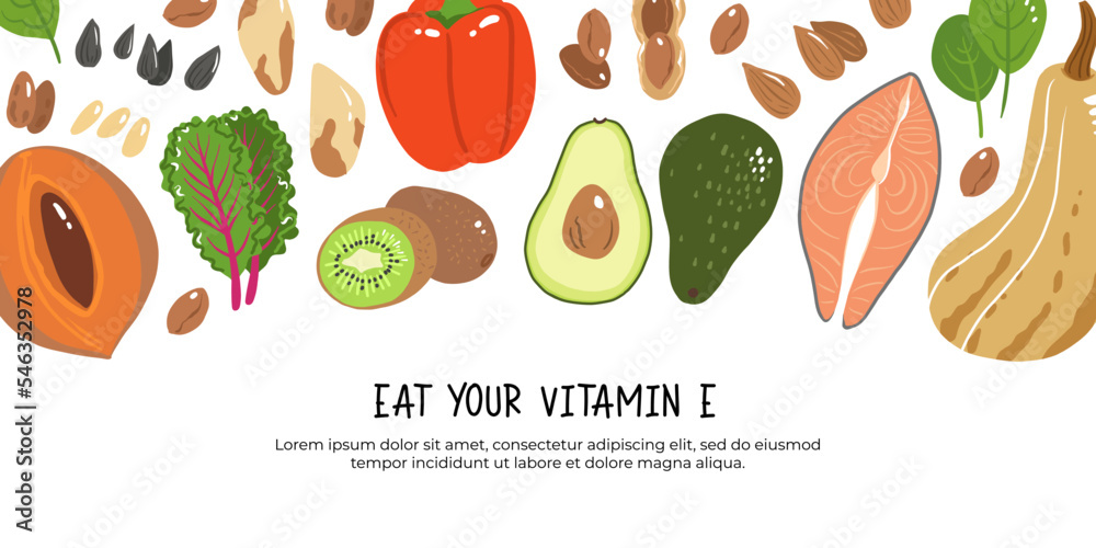 Vitamin e vector stock illustration. Food products with a high content ...