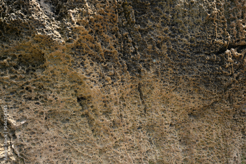 Coral rocks boulders worn down by age and the ocean waves, rustic look ...